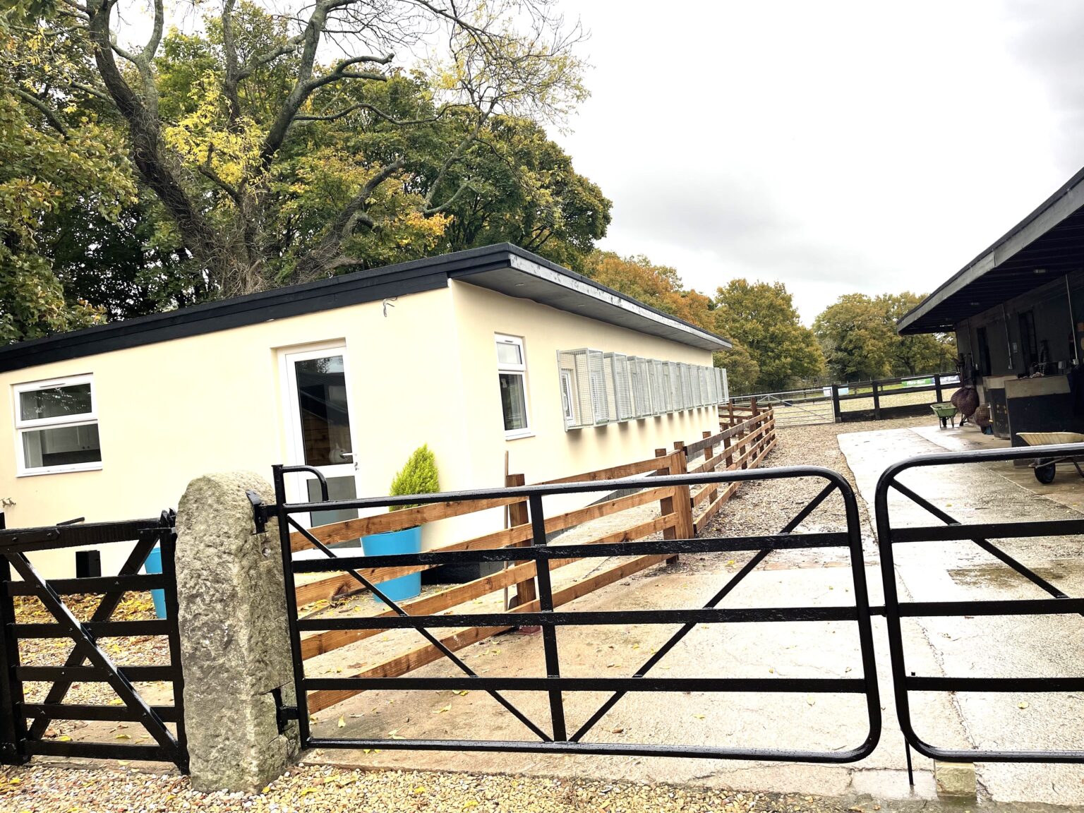 Gallery – Stableview Cattery