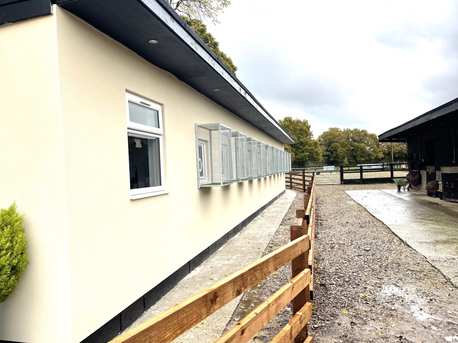 Gallery – Stableview Cattery